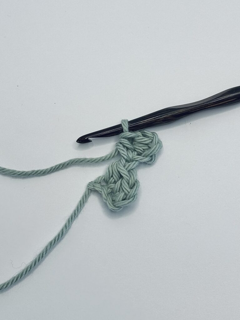 The Mini C2C Tutorial - Here's What You Need to Know! - SASS Crochet